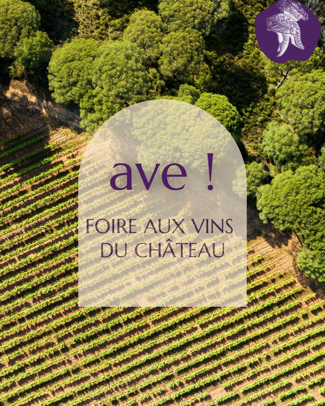 Foire aux Vins du Château - Saint Julien d'Aille